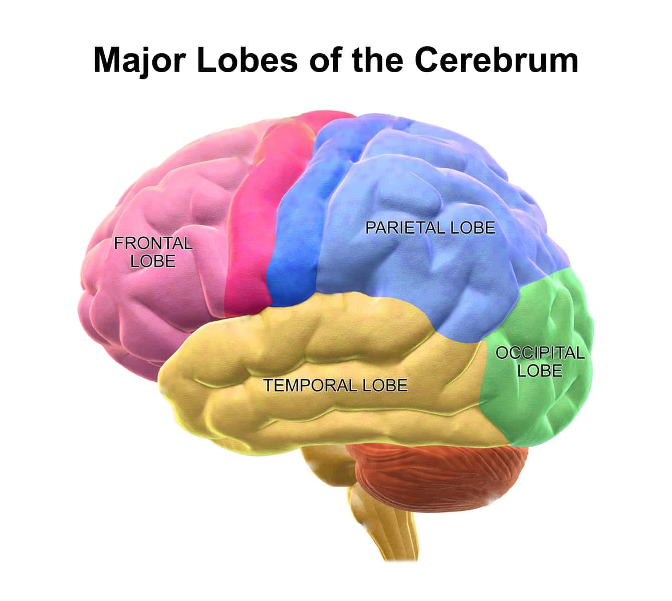 Long-Term Effects of Birth Asphyxia and Hypoxic-Ischemic Encephalopathy ...